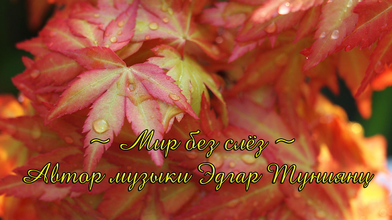Мир без слёз*