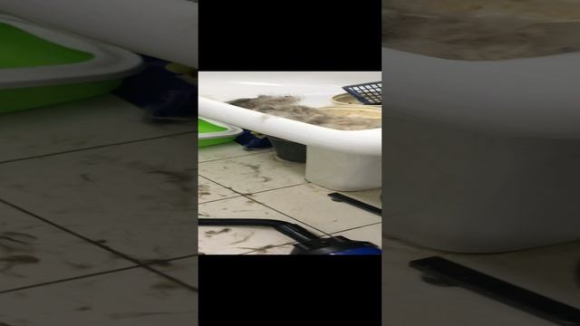 Карточка видео