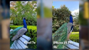 Pixel 7a vs iPhone 14 Pro: Nerdy CAMERA Test!