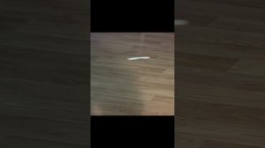 Нора 2.0 015