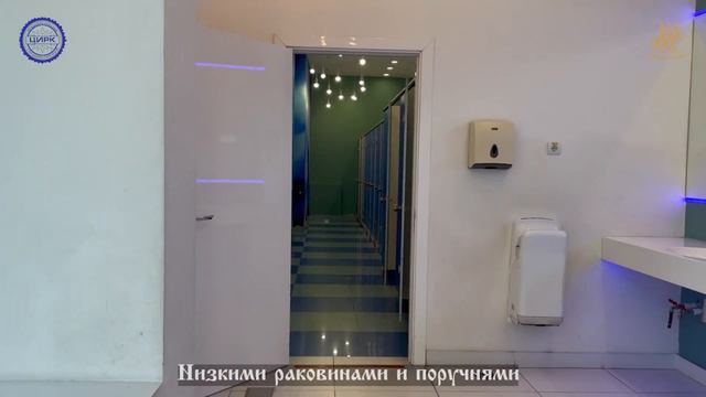 Паспорт доступности. Владивостокский цирк.