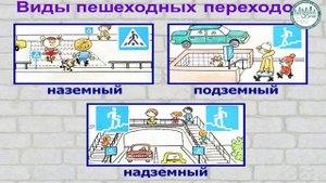 Дорожная безопасность летом