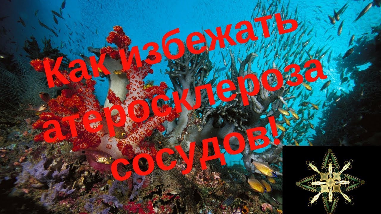 Как органический кремний помогает очищению сосудов. Часть 5..