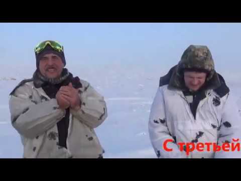 Зимняя охота на зайцев - 8. День рождения Следопыта.
