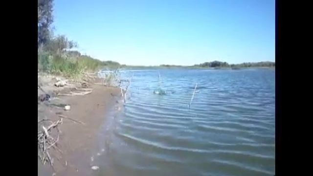 Рыбака д.Болхуны август 2015 часть 1.mp4