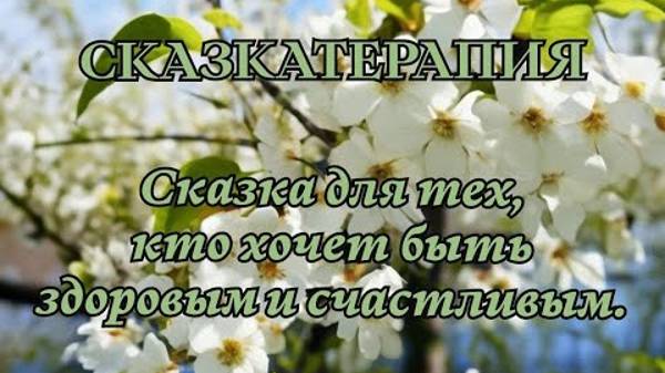 СКАЗКАТЕРАПИЯ.Сказка для тех, кто хочет быть здоровым и счастливым.Авторская сказка. УТРЕННЯЯ СКАЗКА
