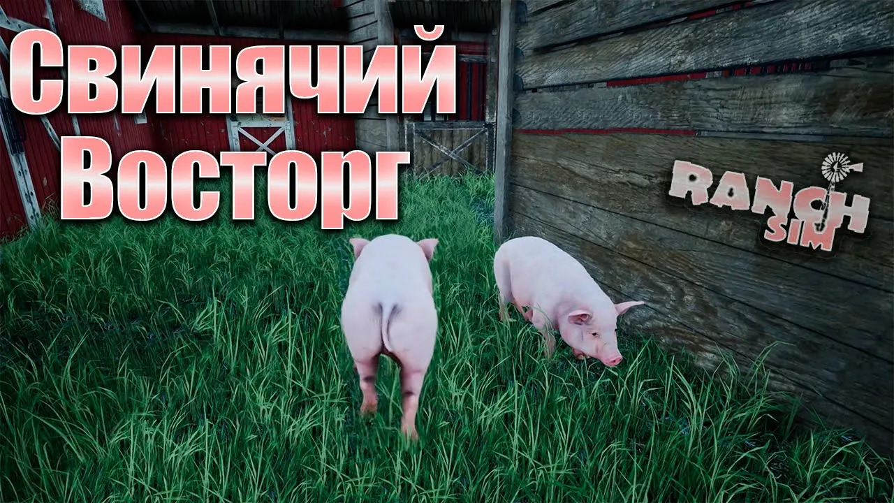 Построили ОБШАРПАННЫЙ АМБАР и купили СВИНЕЙ. Ranch simulator #7. КООП.