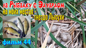 На Рыбалку с Эдуардом. VIDEO 44. На Моих Местах – Гнездо ЛЫСУХИ