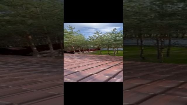 WhatsApp Video 2022-05-15 at 12.10.34.mp4