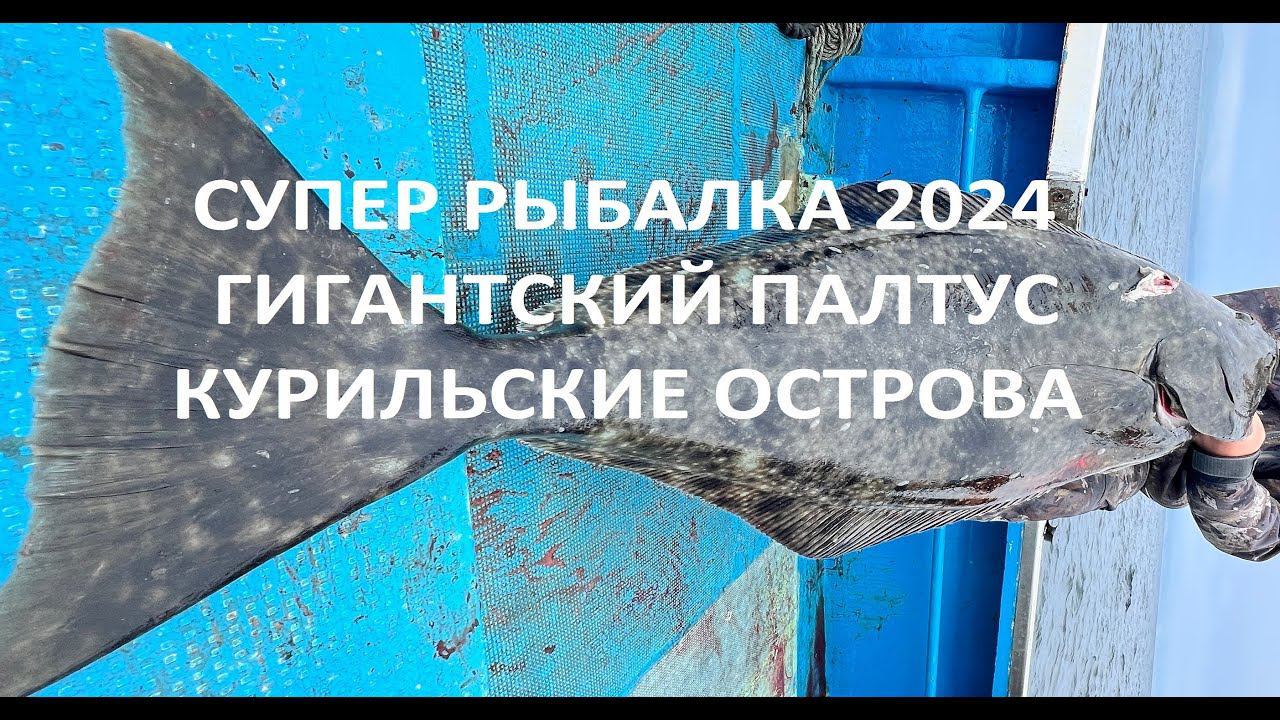 СУПЕР РЫБАЛКА 2024. ГИГАНТСКИЙ ПАЛТУС
