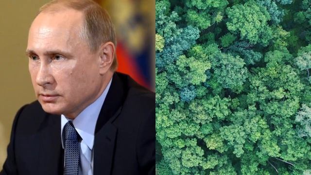 «Следующий будет в зубы» — Путин проучил Макрона за неуважение к России