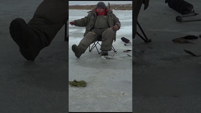 Ротан чуть в лунку не утащил #shorts