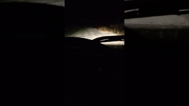 Покатушки на ваз 2107