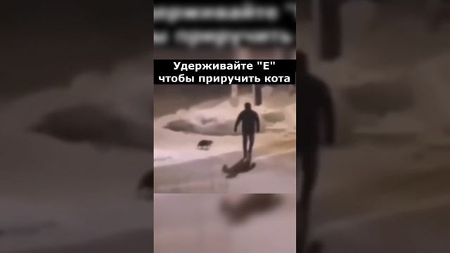 Приручение Катжита #shorts #humor #games