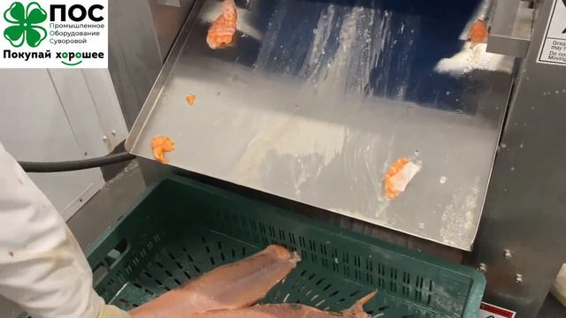 Шкуросъемная автоматическая машина CH 400 PI для удаления шкуры у красной и прочей рыбы.