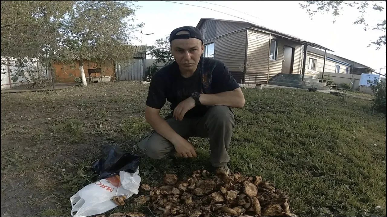 Поход за грибами Рязанская область.Отличный улов.Открытие грибного сезона