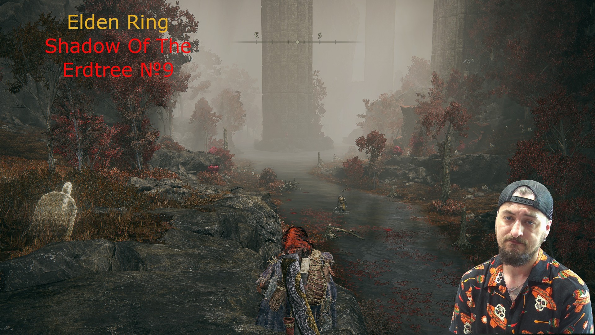Elden Ring : Shadow Of The Erdtree №9 "Смертельные пейзажи"