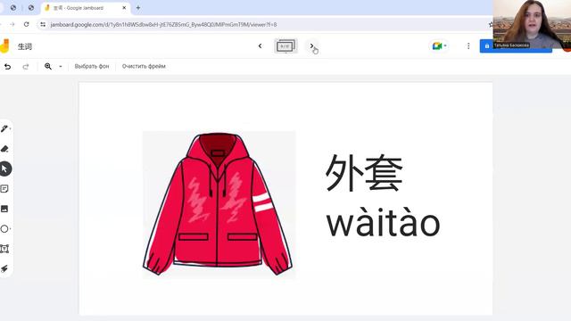 Одежда