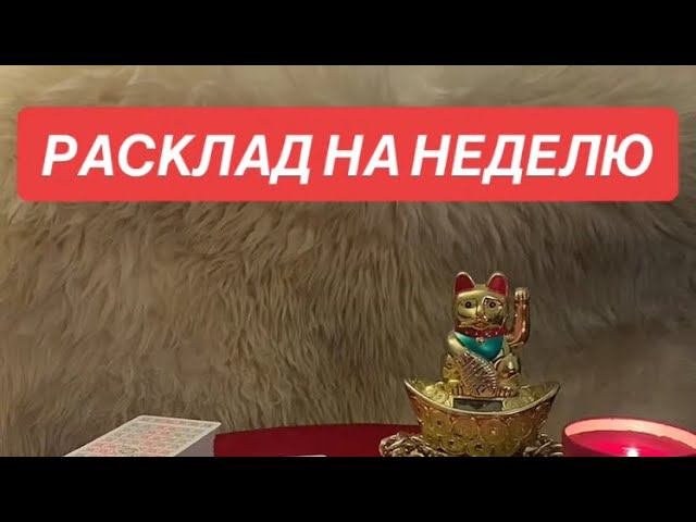 ДЕЛА, ДОМ, ВАША РОЛЬ НА НЕДЕЛЕ