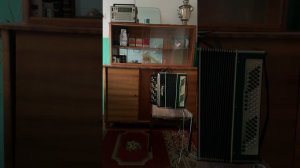 Пар-голова - Елизаров #кавер #баян #bayan #аккорды #аккордеон #гитарадляначинающих #инди