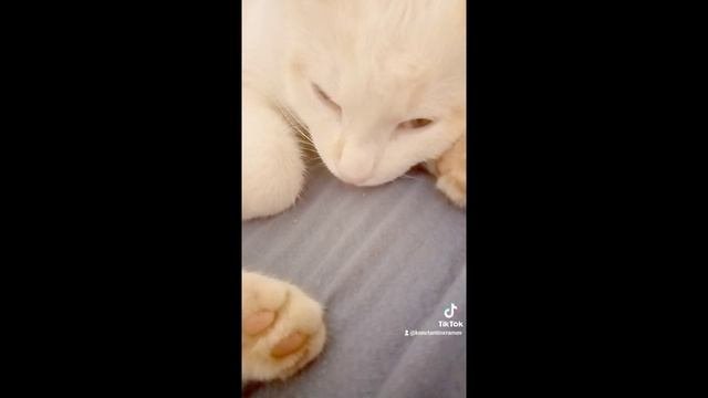 Февраль