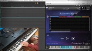 Osterhouse Sounds || Pathfinder Cello || Playthrough