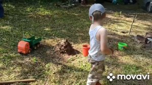 Построили муравейник. Что с ним стало через неделю?