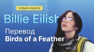 Перевод песни Birds of a Feather с нового альбома Billie Eilish "Hit Me Hard and Soft"
