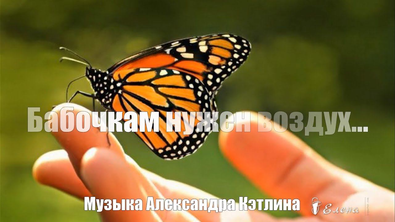 Бабочкам нужен воздух*
