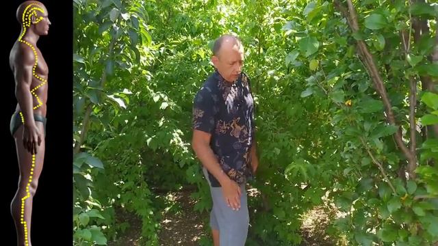 Самомассаж Канала Желчного пузыря