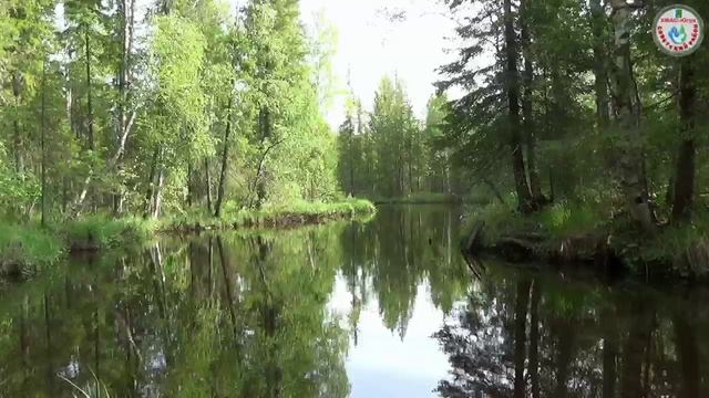 Река "УХ" 18 июня Советский район 2014 год  ХМАО