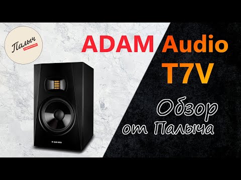 Студийный монитор ADAM Audio T7V || Обзор от Палыча