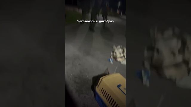 Лухаревская БЕЗОПАСНОСТЬ....