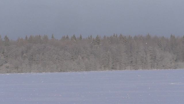 Зимний пейзаж. Озеро Карпо-Карасёво