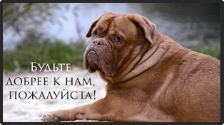 Пожалуйста, будьте добрее к нам! ♥️♥️♥️