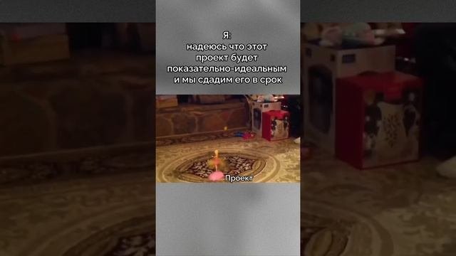 Идеальный проект