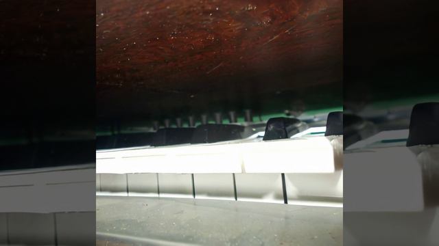 syntxVideo-13816