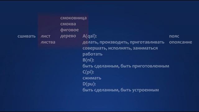 #48 Смоковные листья и опоясания Адама и Евы. Схождение первого вертикала и меридиана, Орион