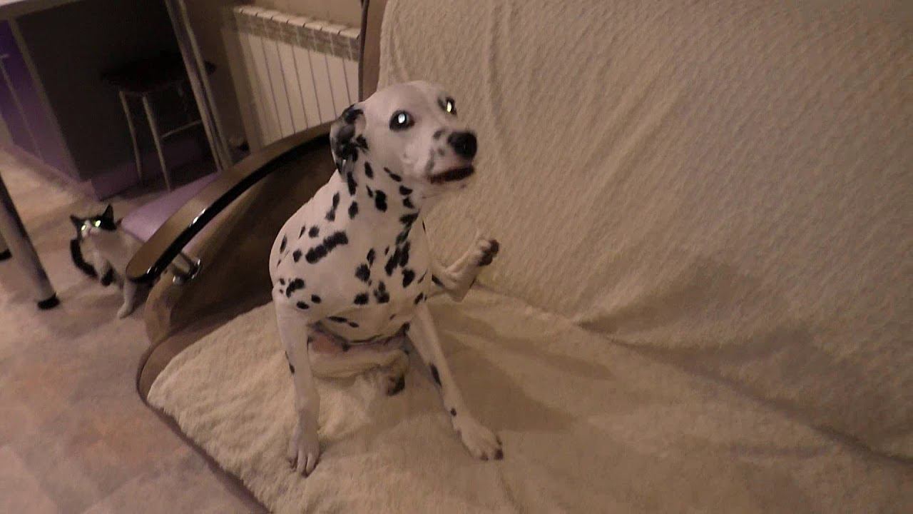 Дом там где тебя ждут