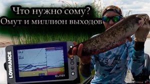 Что нужно сому? Как поймать сома на оке в омуте? Миллион подъемов