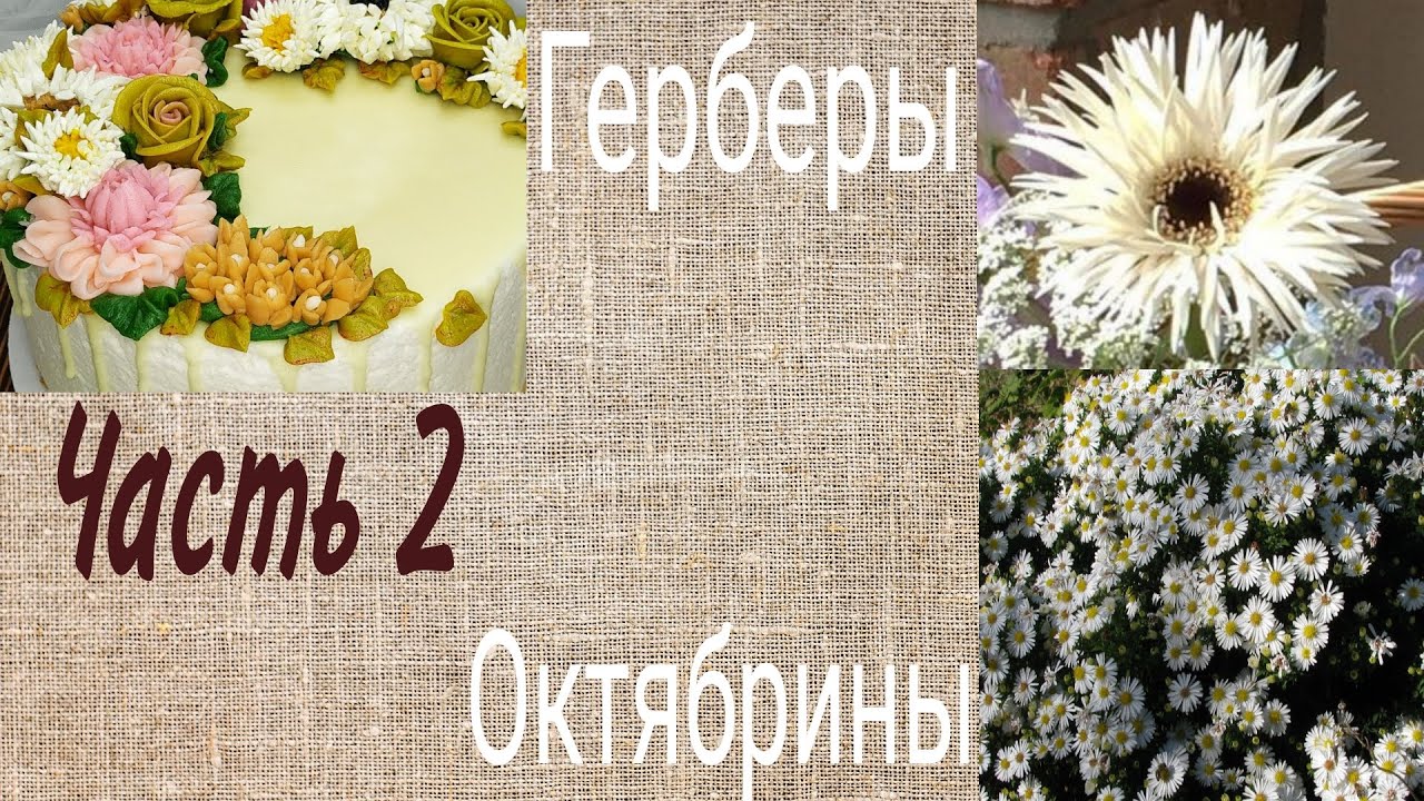 Очень красивый торт с кремовыми цветами. Герберы, октябрины и розы.
