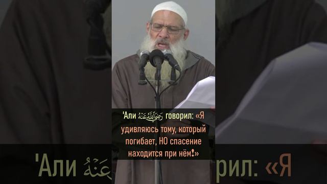 Испрашивание прощения есть спасение | Шейх Раслян