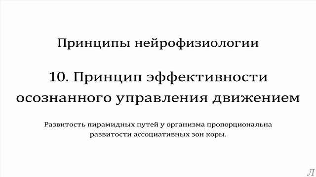 9.10 Принципы нейрофизиологии. Принцип эффективности осознанного управления движением