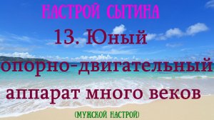 Юный опорно-двигательный аппарат много веков. Мужской настрой Сытина