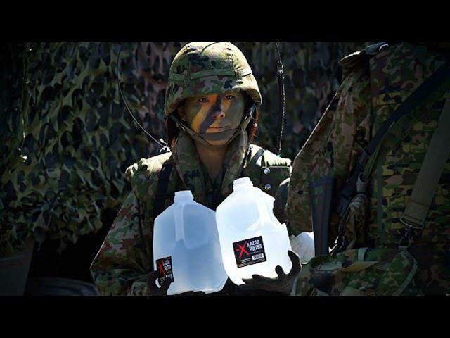 Беззубый тигр. Силы самообороны Японии сегодня