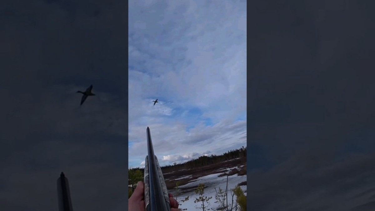 С Охоты На рыбалку на RUTUBE: 157 видео – смотреть онлайн и бесплатно ...