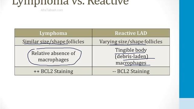 Гематология USMLE - 3. Лейкоциты - 4.Неходжкинская лимфома