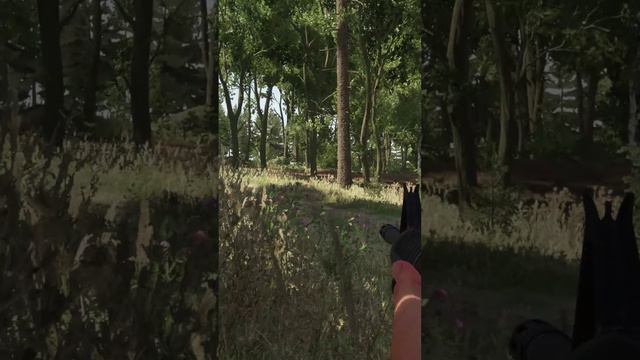 Arma Reforger Games ‧ RedBear EVENT 10.07.2024