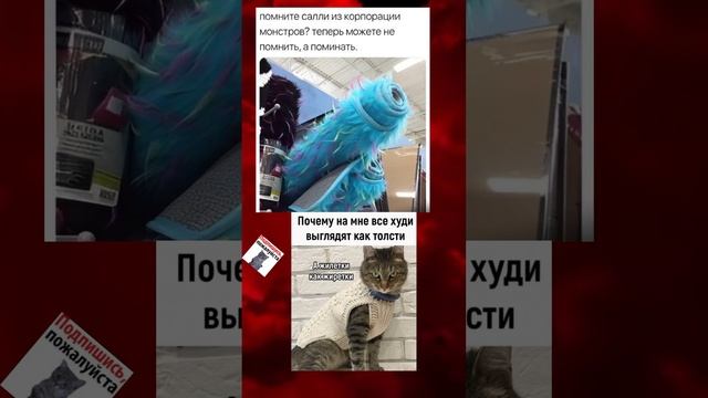 #рек #юмор #мем #мемы