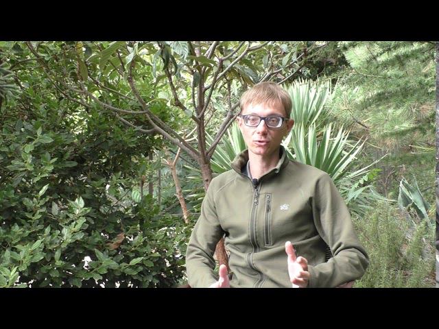 Отзыв Рогожина Алексея о Крымском интенсиве 2020